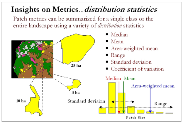 Spatial Metrics – Statistik untuk Landscape dan Data Spasial – Rahmadya ...